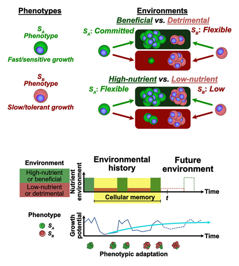 RESEARCH – GEORGE RESEARCH GROUP